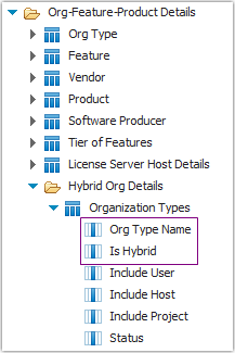 Prompts for Hybrid Organizational Structure Reports